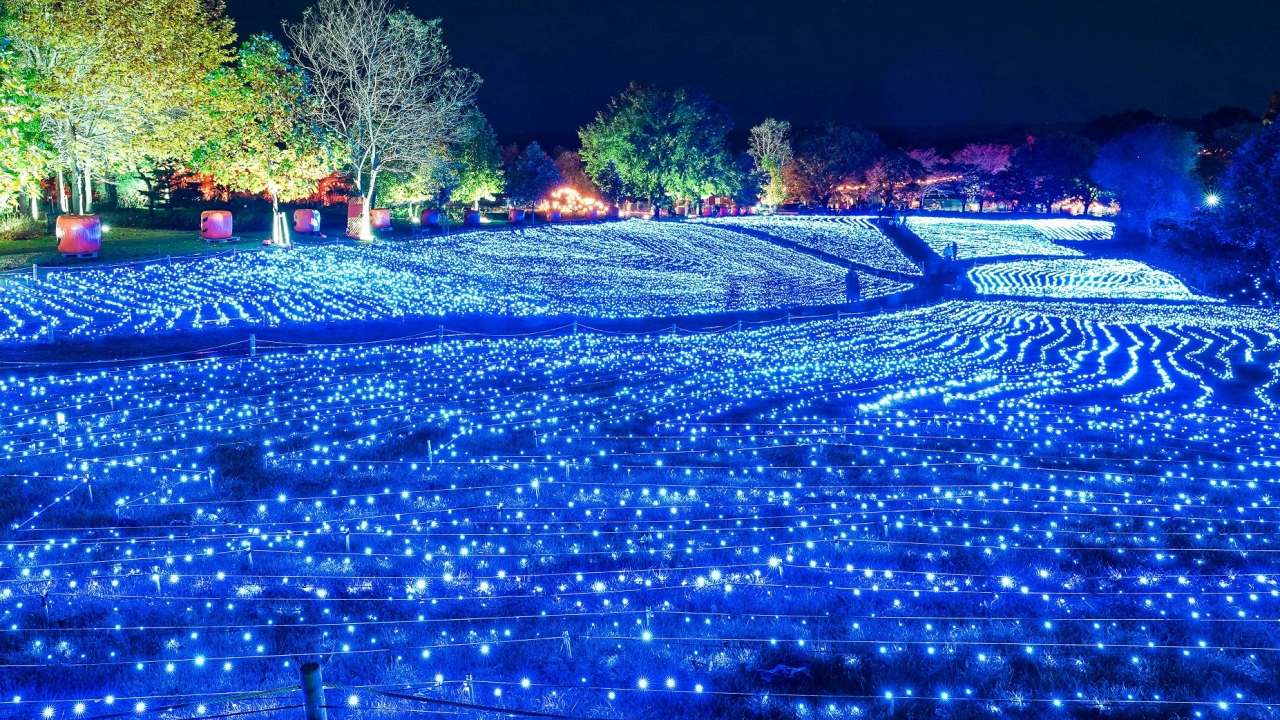 宮城最大級ライトアップ 星あかり | 仙台夜時間